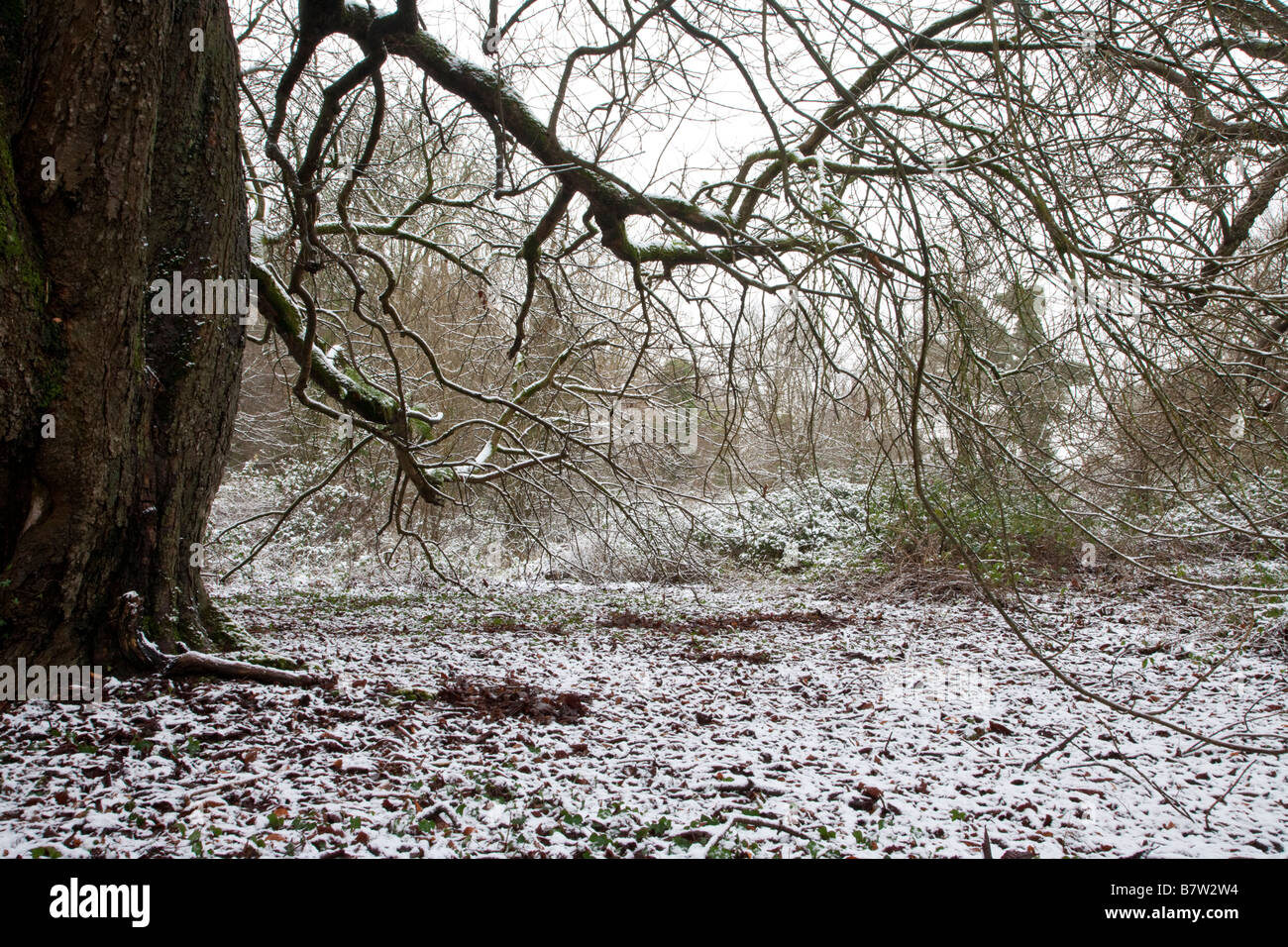 Winter Scene Ardagh, County Limerick, Ireland Stock Photo - Alamy