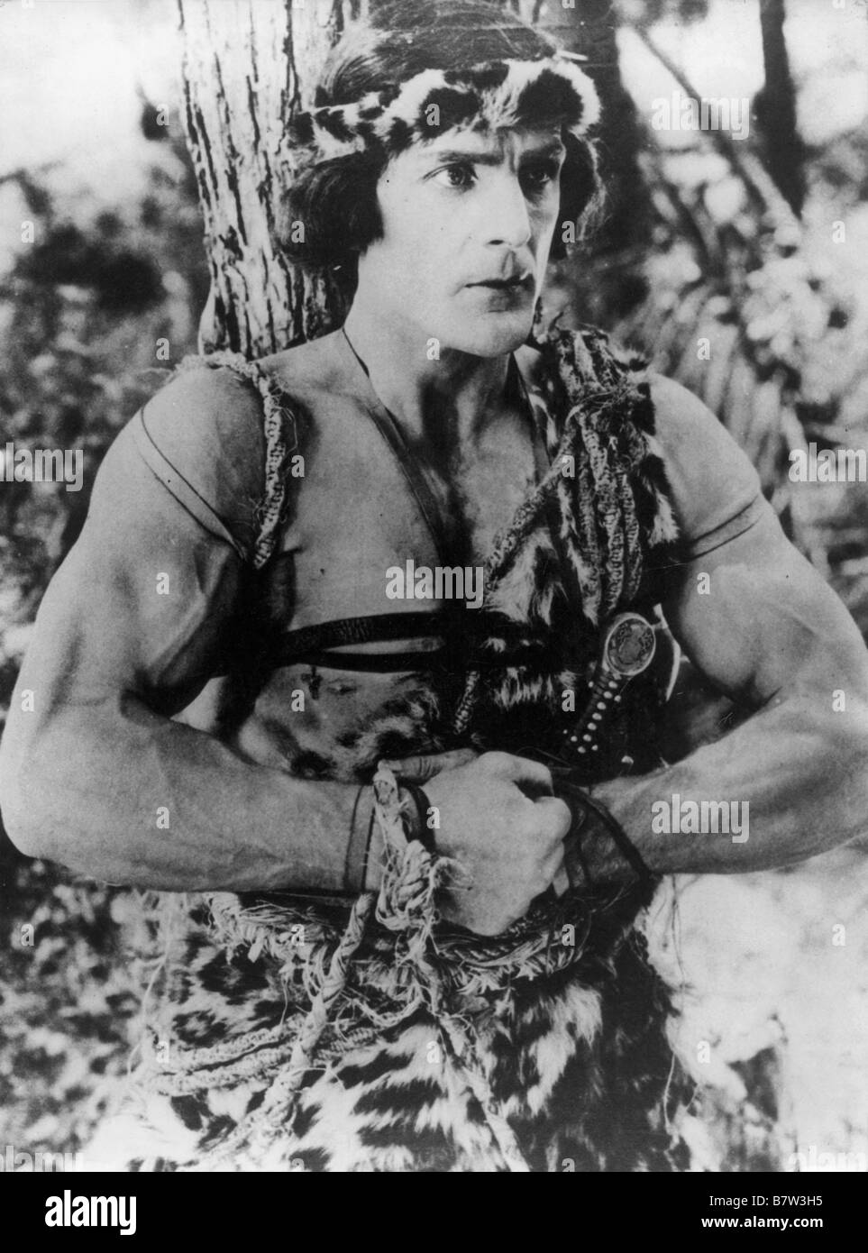 Tarzan The Tiger High Resolution Stock Photography and Images - Alamy