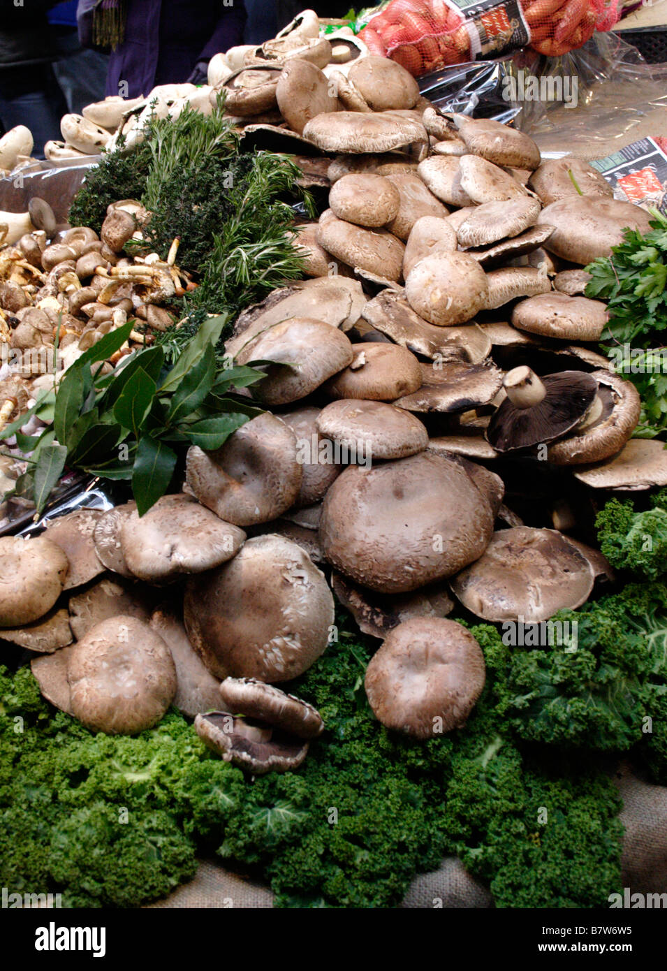 London mushroom stall hi-res stock photography and images - Alamy