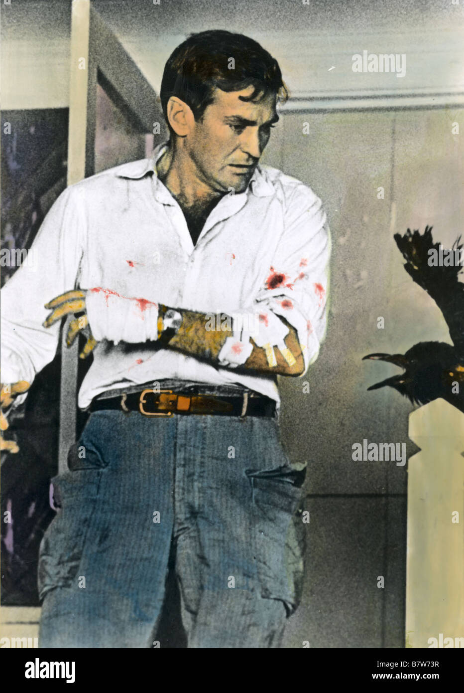 Birds rod taylor director alfred hi-res stock photography and images ...