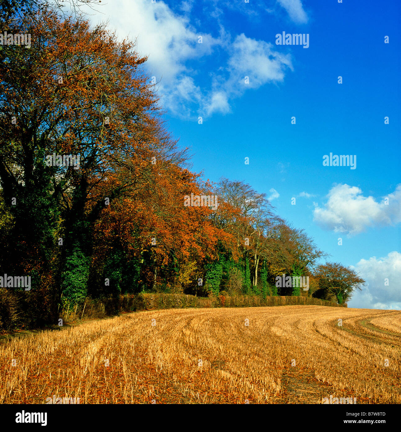East meon hampshire hi-res stock photography and images - Alamy