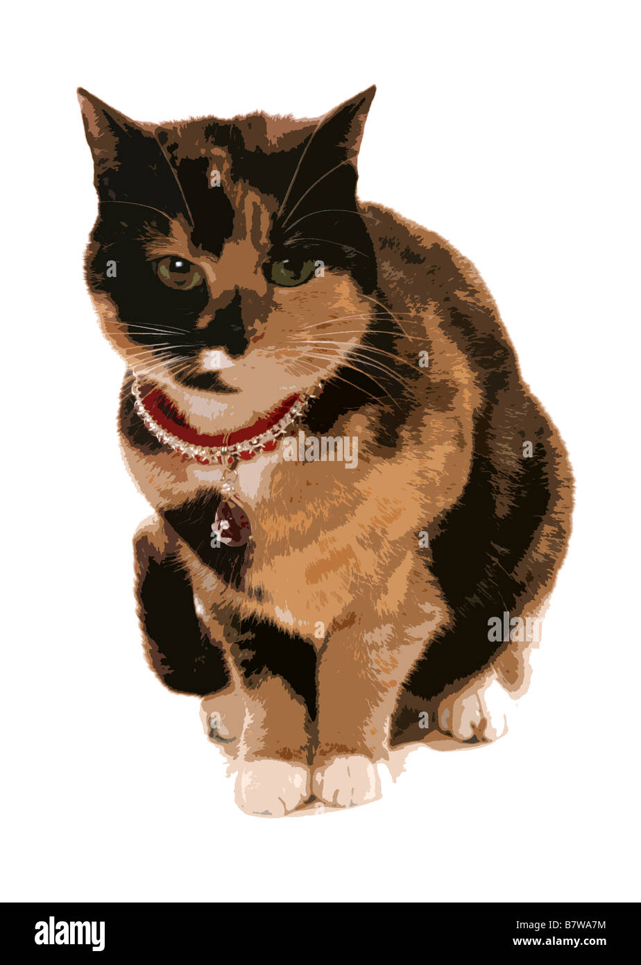 tortieshell moggy cat popart portrait illustration Stock Photo - Alamy