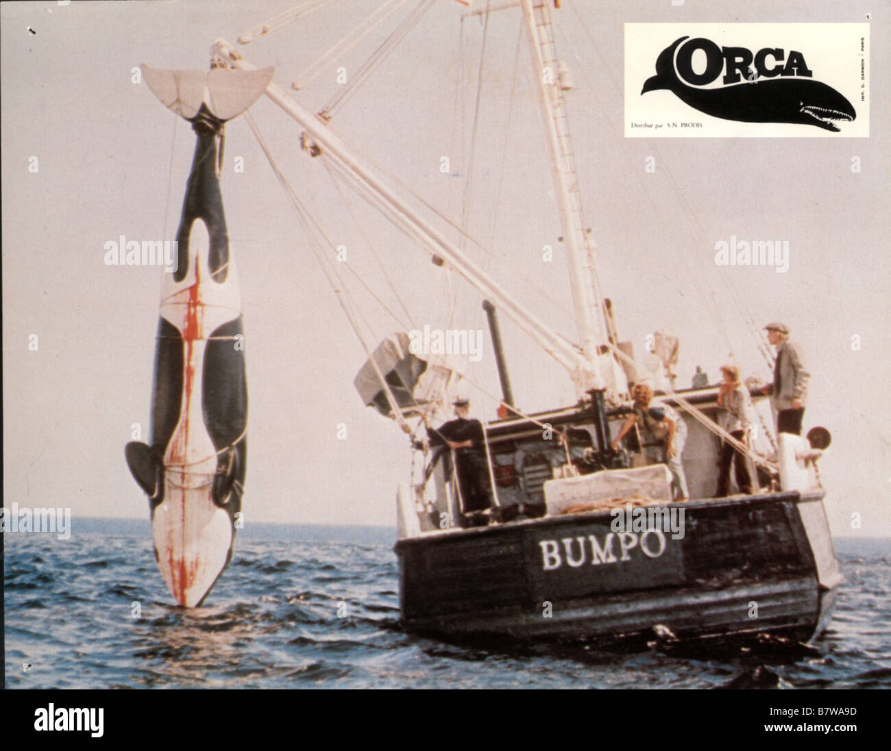 Orca Orca Year: 1977 USA Director : Michael Anderson Stock Photo - Alamy