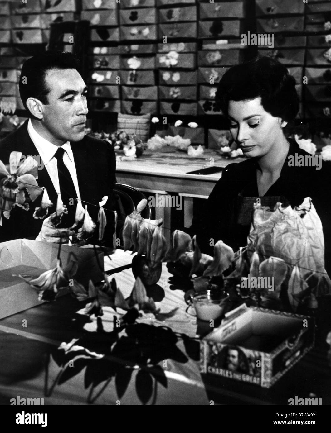 The Black Orchid Year: 1958 USA Sophia Loren, Anthony Quinn Director ...