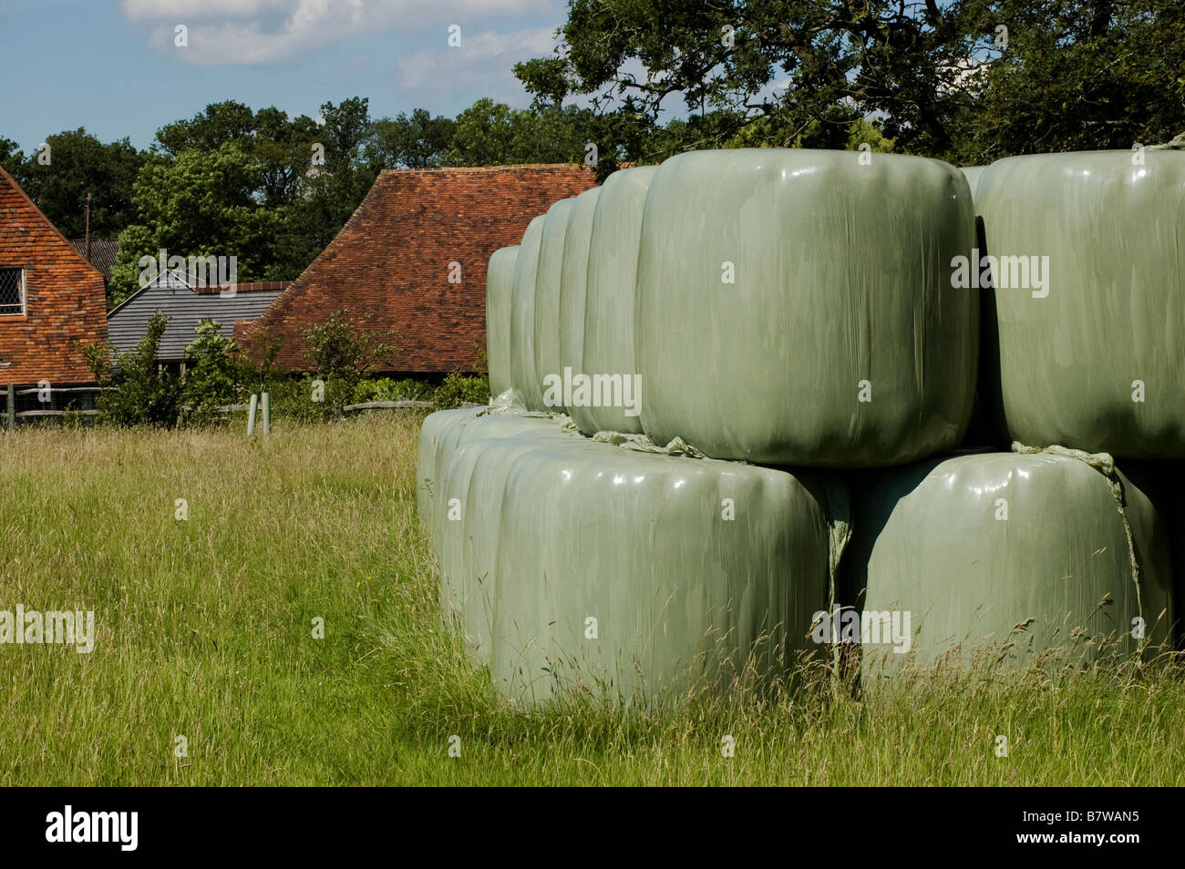 silage bales in field Stock Photo - Alamy