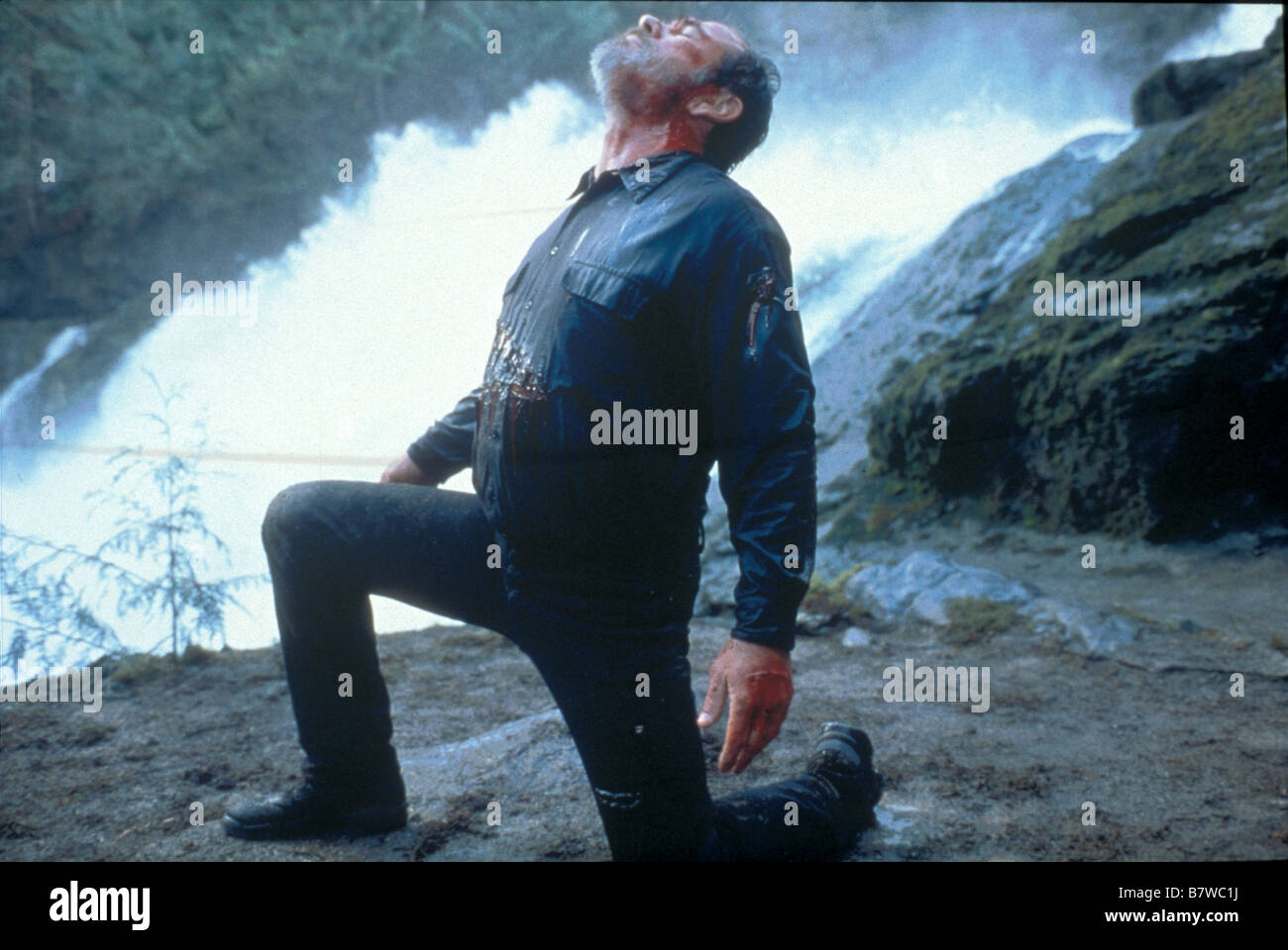 Traqué The Hunted Year: 2003 USA Tommy Lee Jones Director: William ...