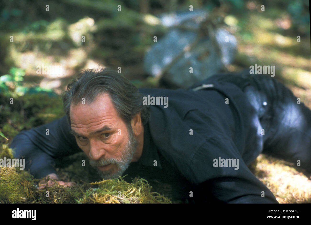 Traqué The Hunted Year: 2003 USA Tommy Lee Jones Director: William ...