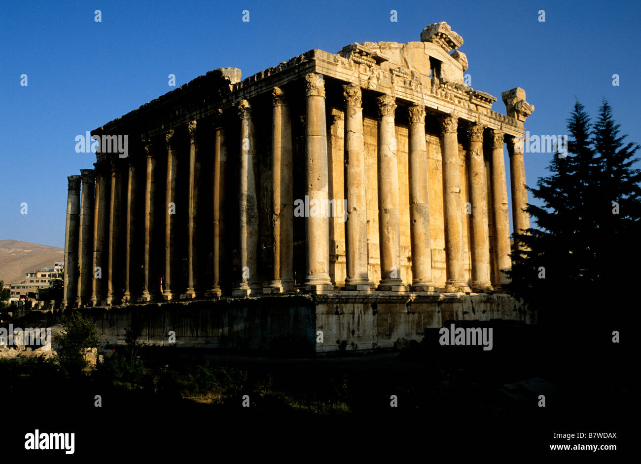 The Temple of Bacchus at Baalbek in the Bekaa Valley, Lebanon Stock ...