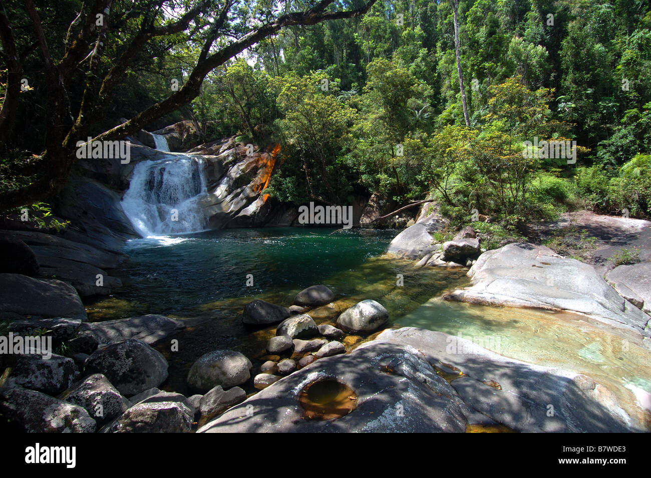 Josephine Falls amongst the rainforest in Wooroonooran National Park ...