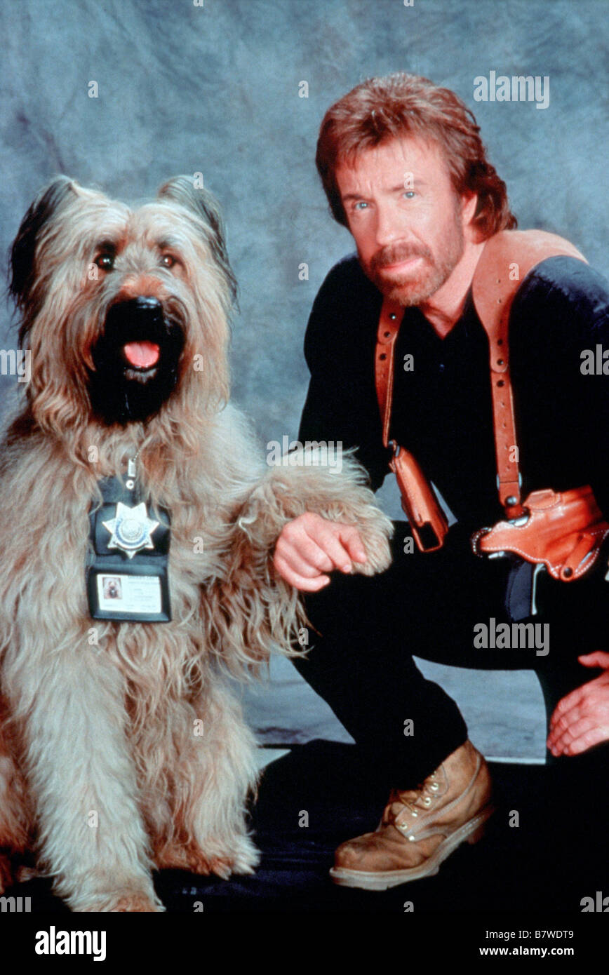 Top Dog Year: 1995 USA Chuck Norris Director: Aaron Norris Stock Photo ...