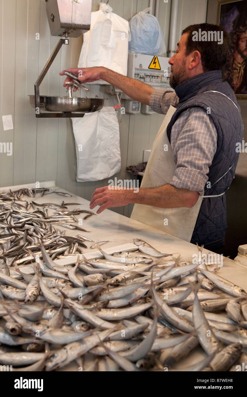 Weighing sardines hi-res stock photography and images - Alamy