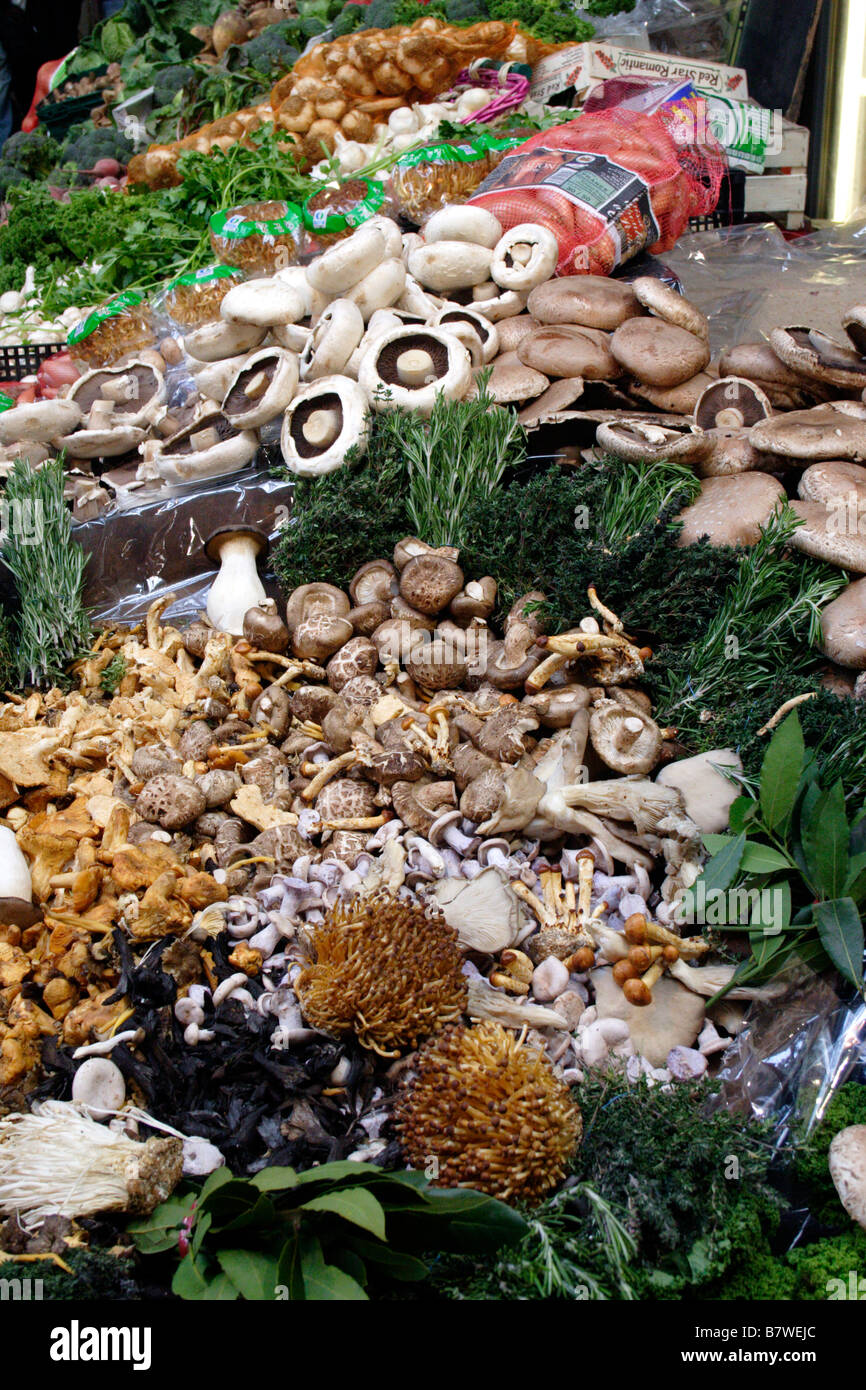 Mushroom stall hi-res stock photography and images - Alamy