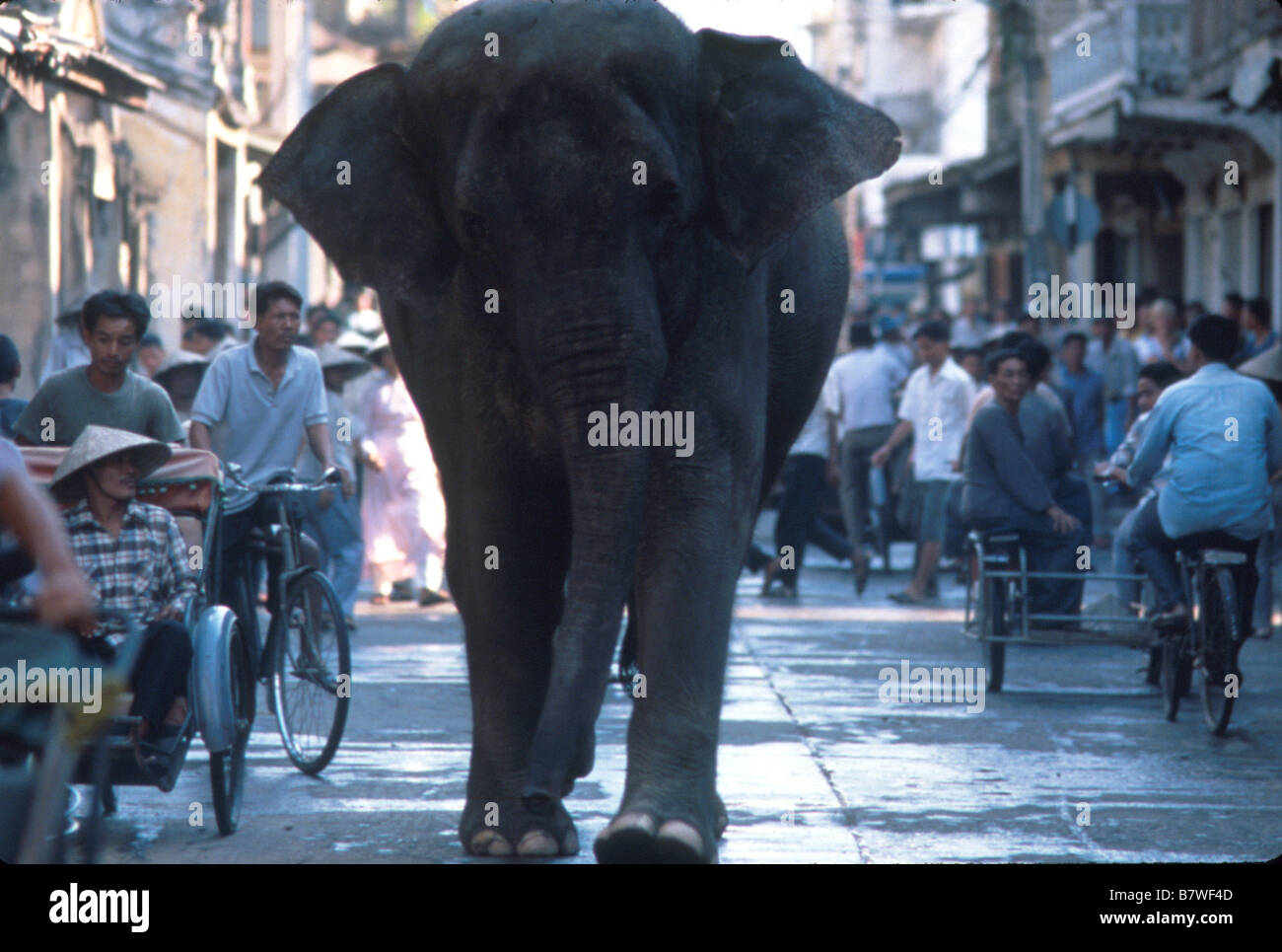 Dumbo drop hi-res stock photography and images - Alamy