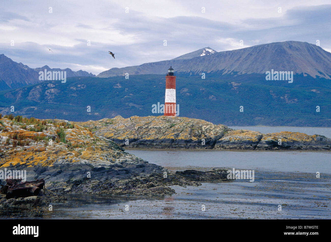 Red and white lighthouse on shores of Beagle Channel BEAGLE CHANNEL ...