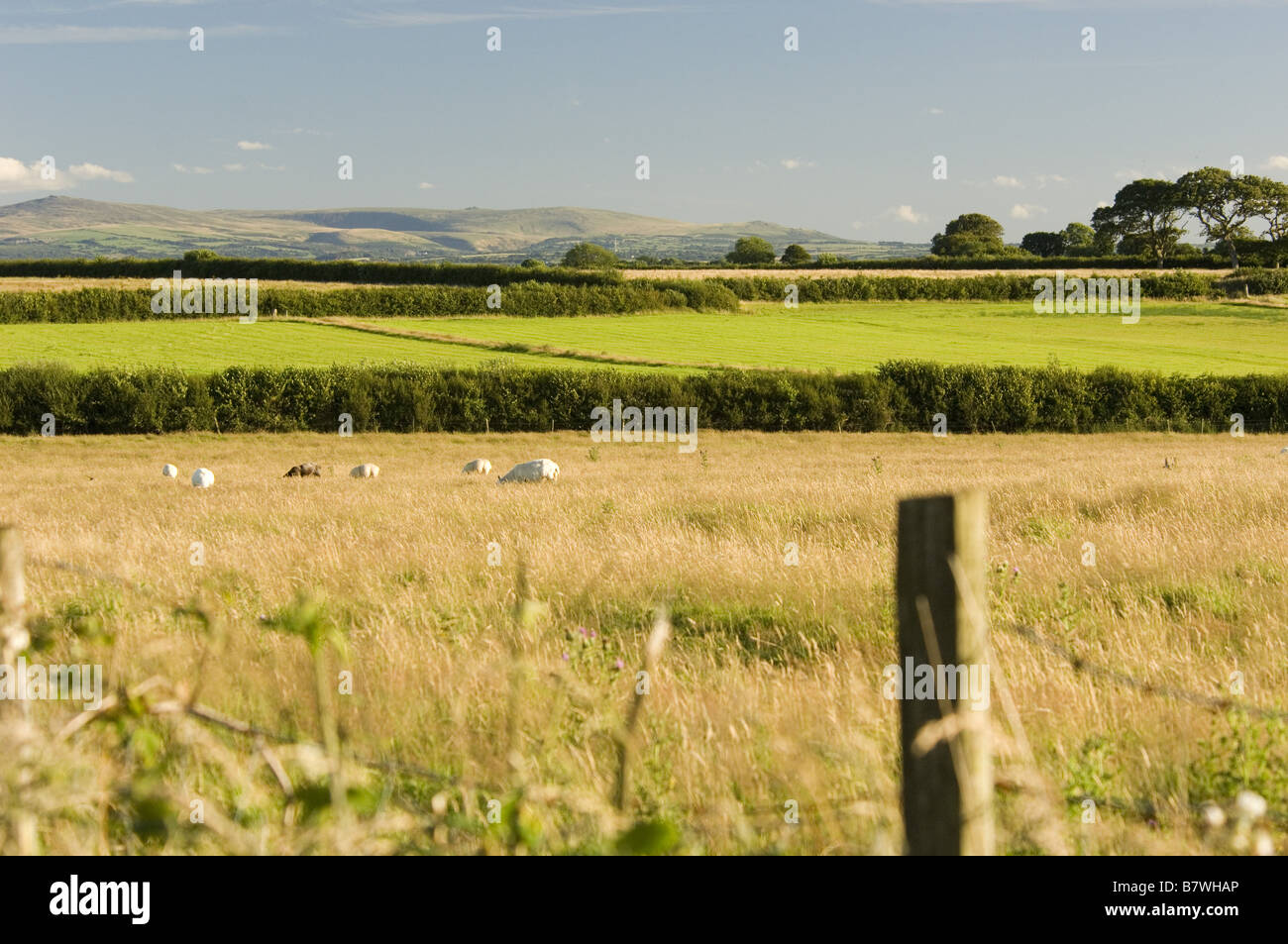 View of Dartmoor national park from Hollocombe moor, Devon Stock Photo ...