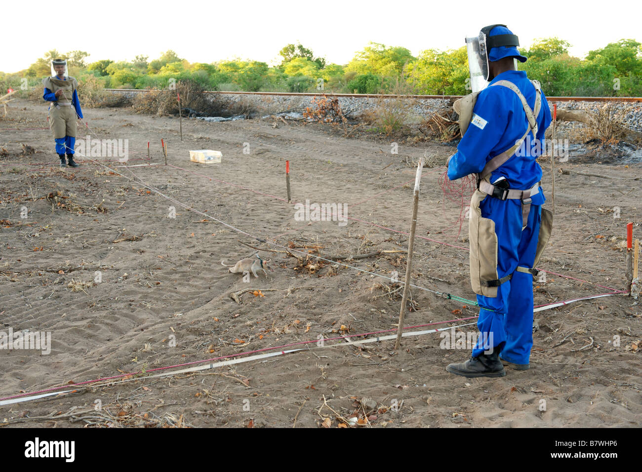 Humanitarian Demining High Resolution Stock Photography and Images - Alamy