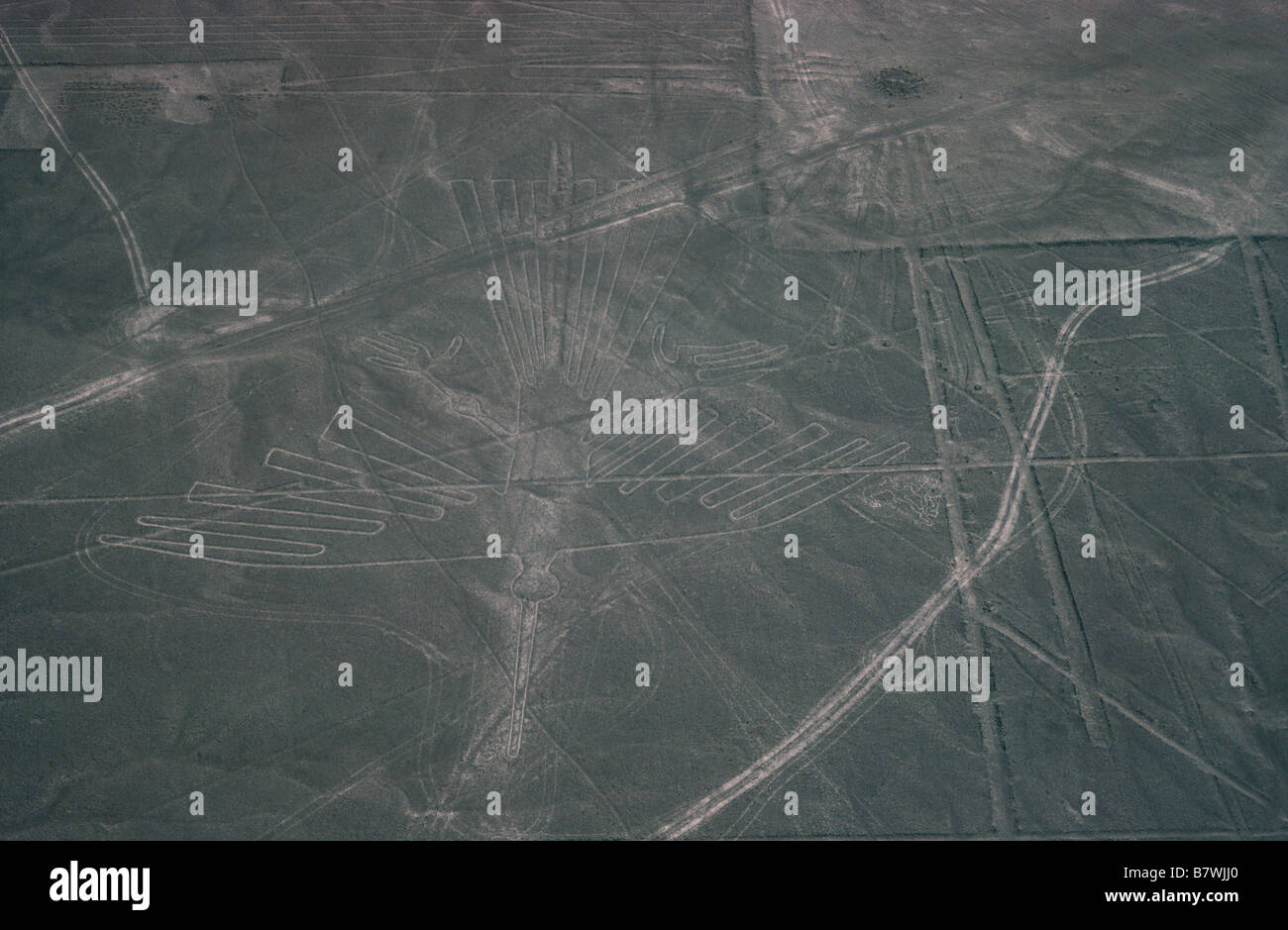 Peru Nazca Lines Condor Stock Photo - Alamy