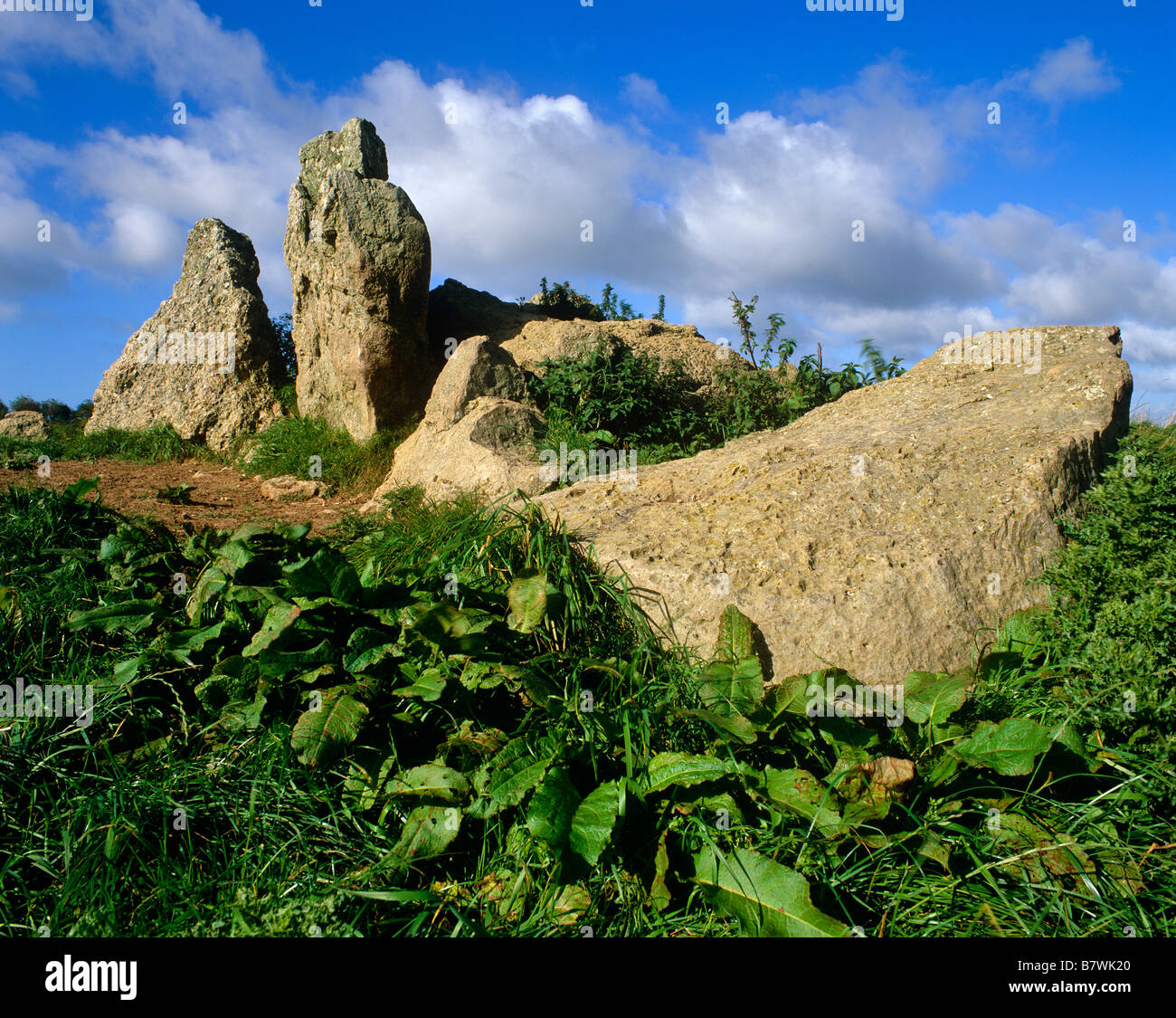 Long bredy hi-res stock photography and images - Alamy