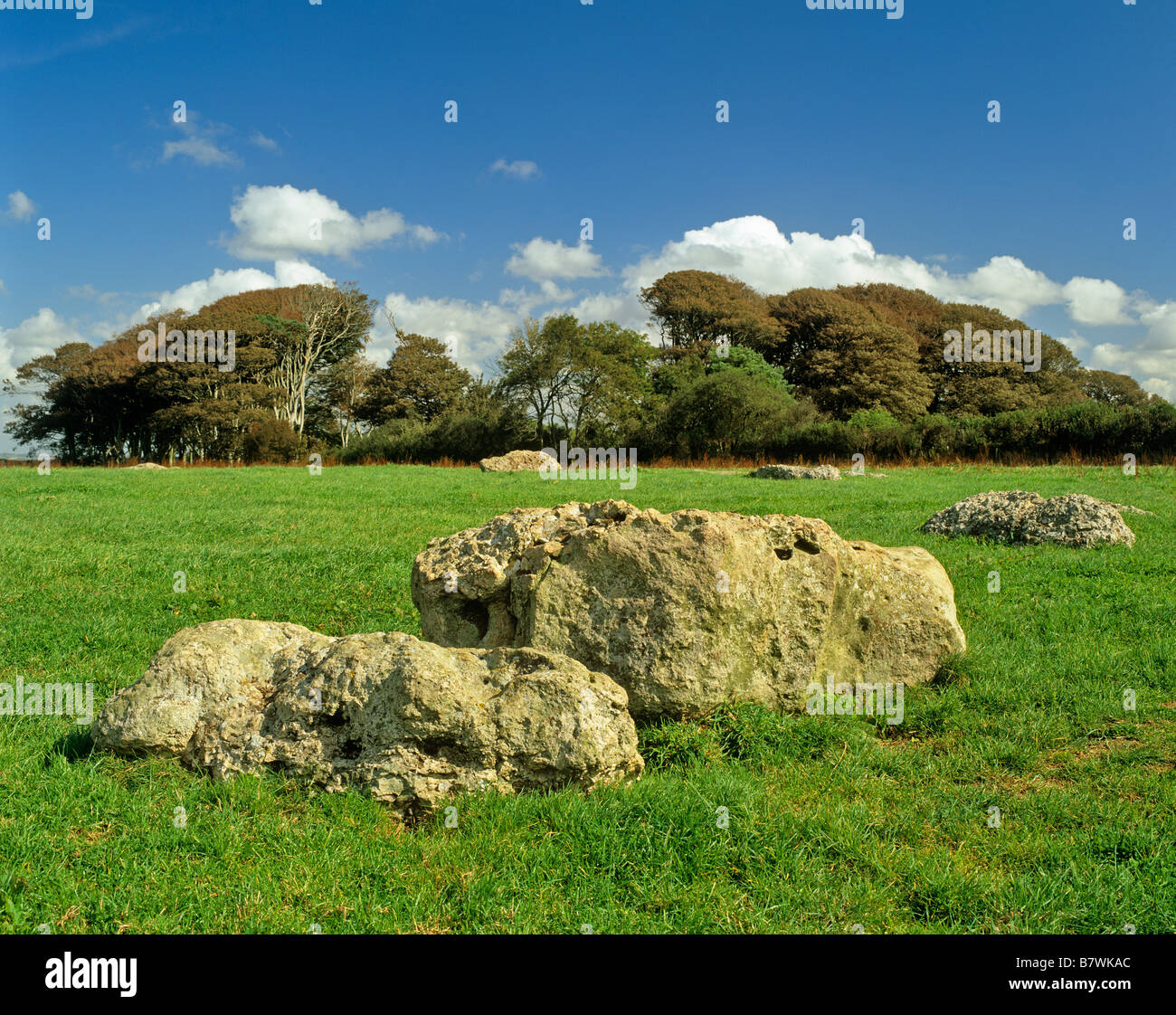 Remains of Stone circle Kingston Russell Dorset UK Stock Photo - Alamy