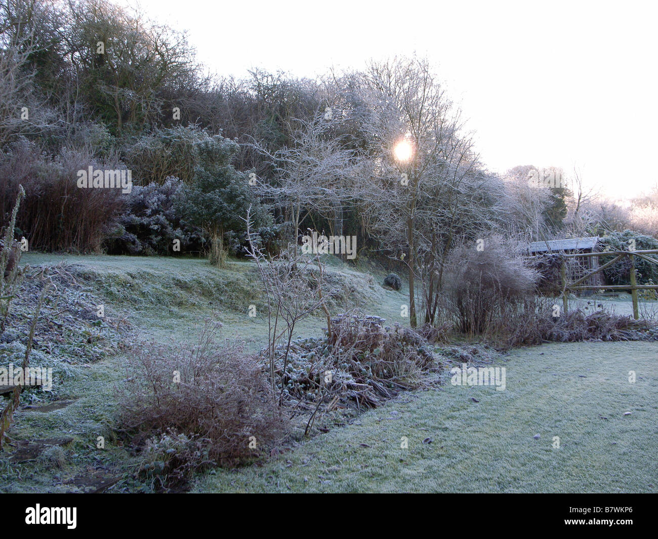 Frost in a garden in Oxfordshire, England Stock Photo - Alamy
