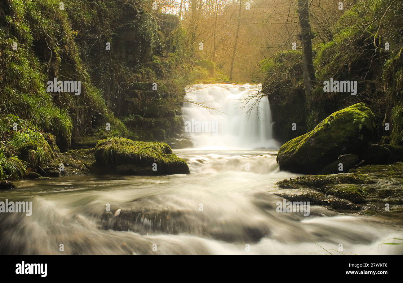 Lyn gorge hi-res stock photography and images - Alamy