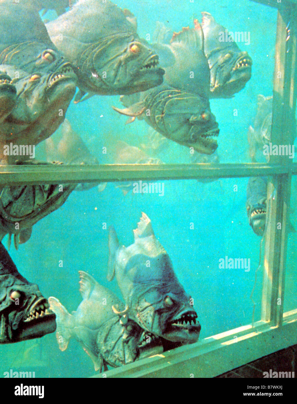 Piranha Movie 1978