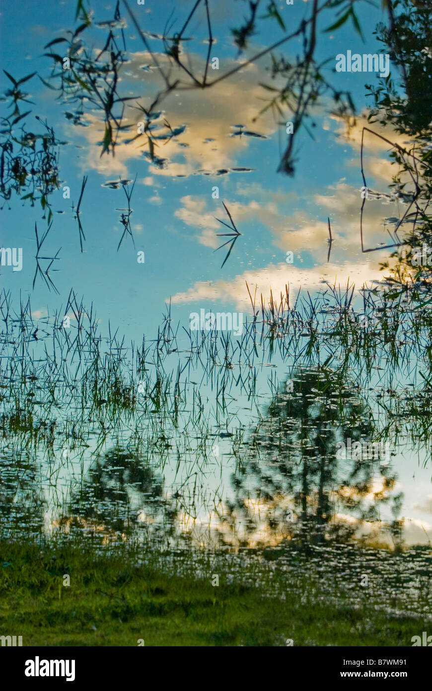 Australian outback landscape sunset hi-res stock photography and images ...