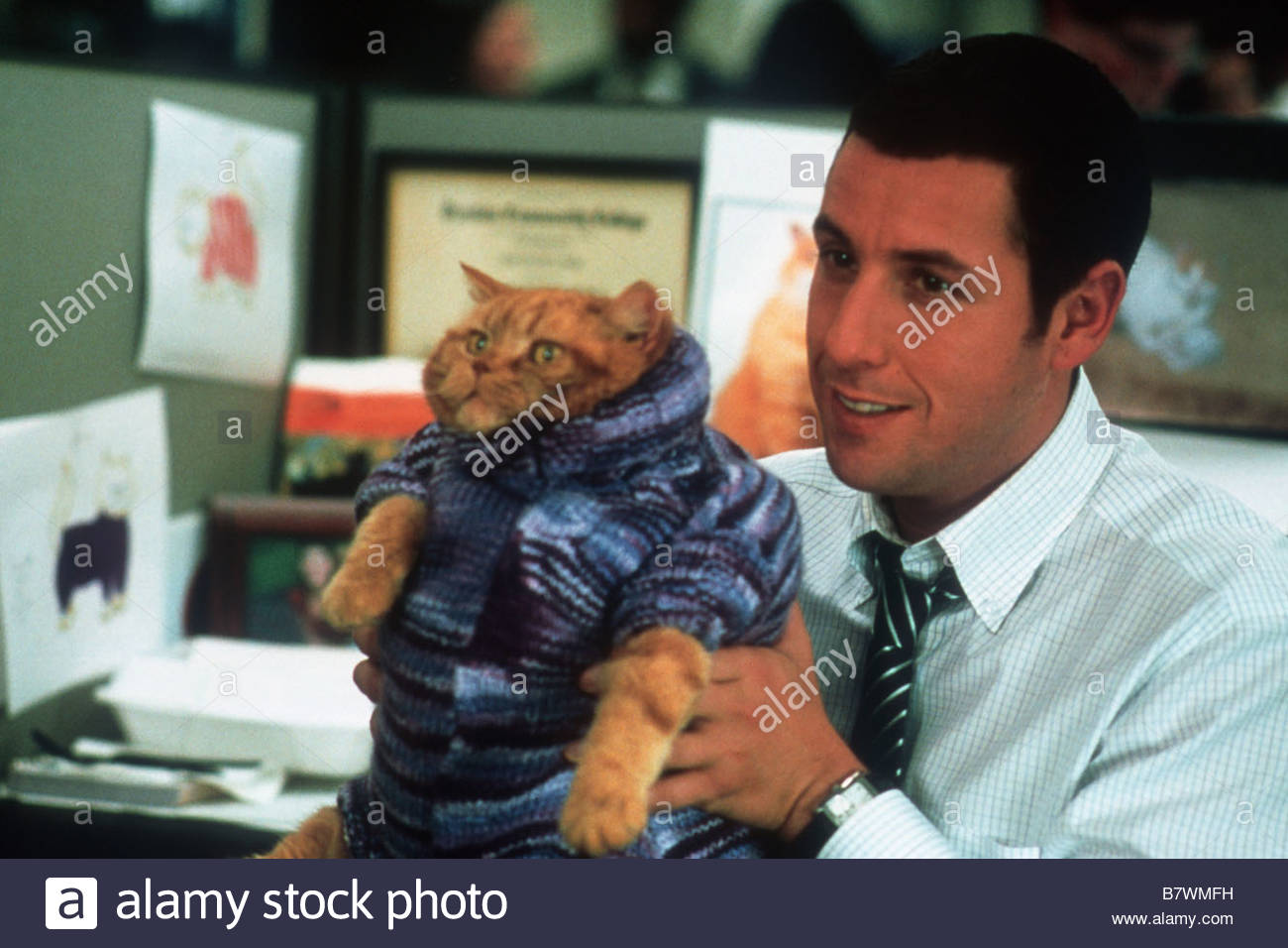 Anger Management 2003 Adam Sandler Stock Photos & Anger Management 2003 ...