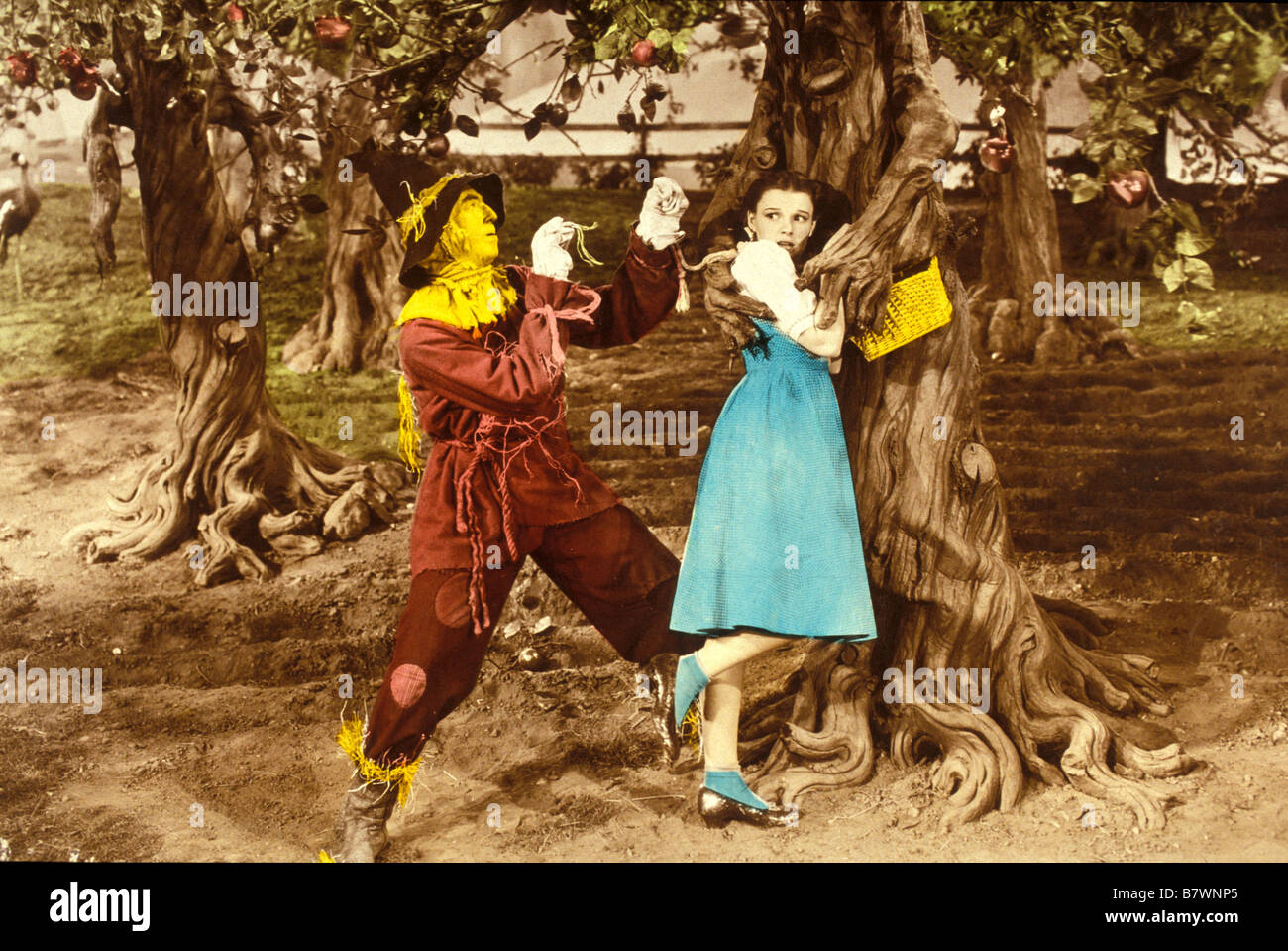 Wizards Of Oz Forest Trees