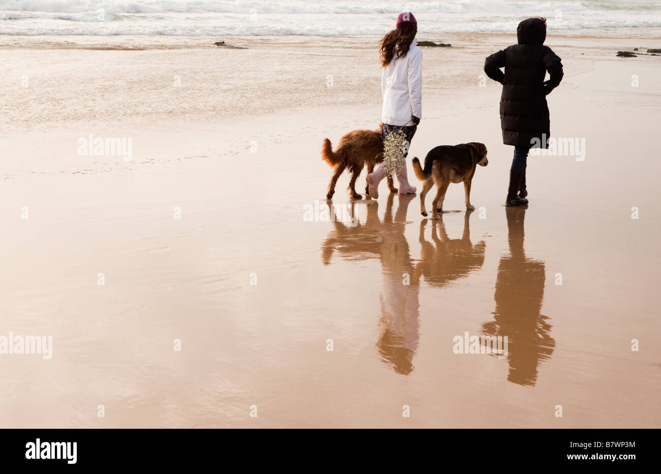 Two dogs on the beach hi-res stock photography and images - Alamy