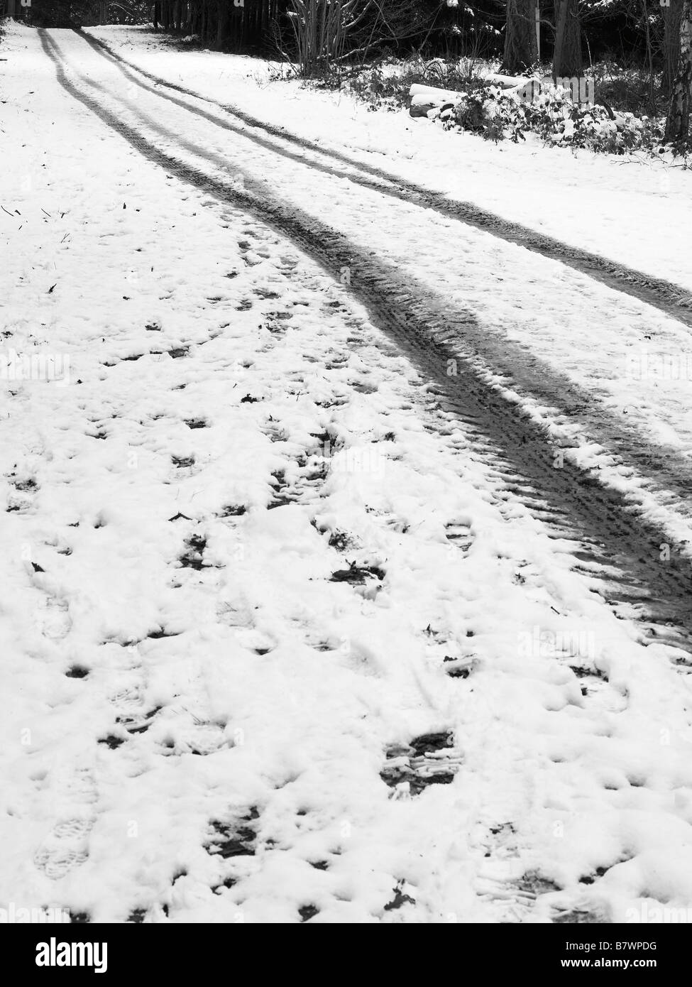 Car tracks in the snow, in black & white Stock Photo - Alamy
