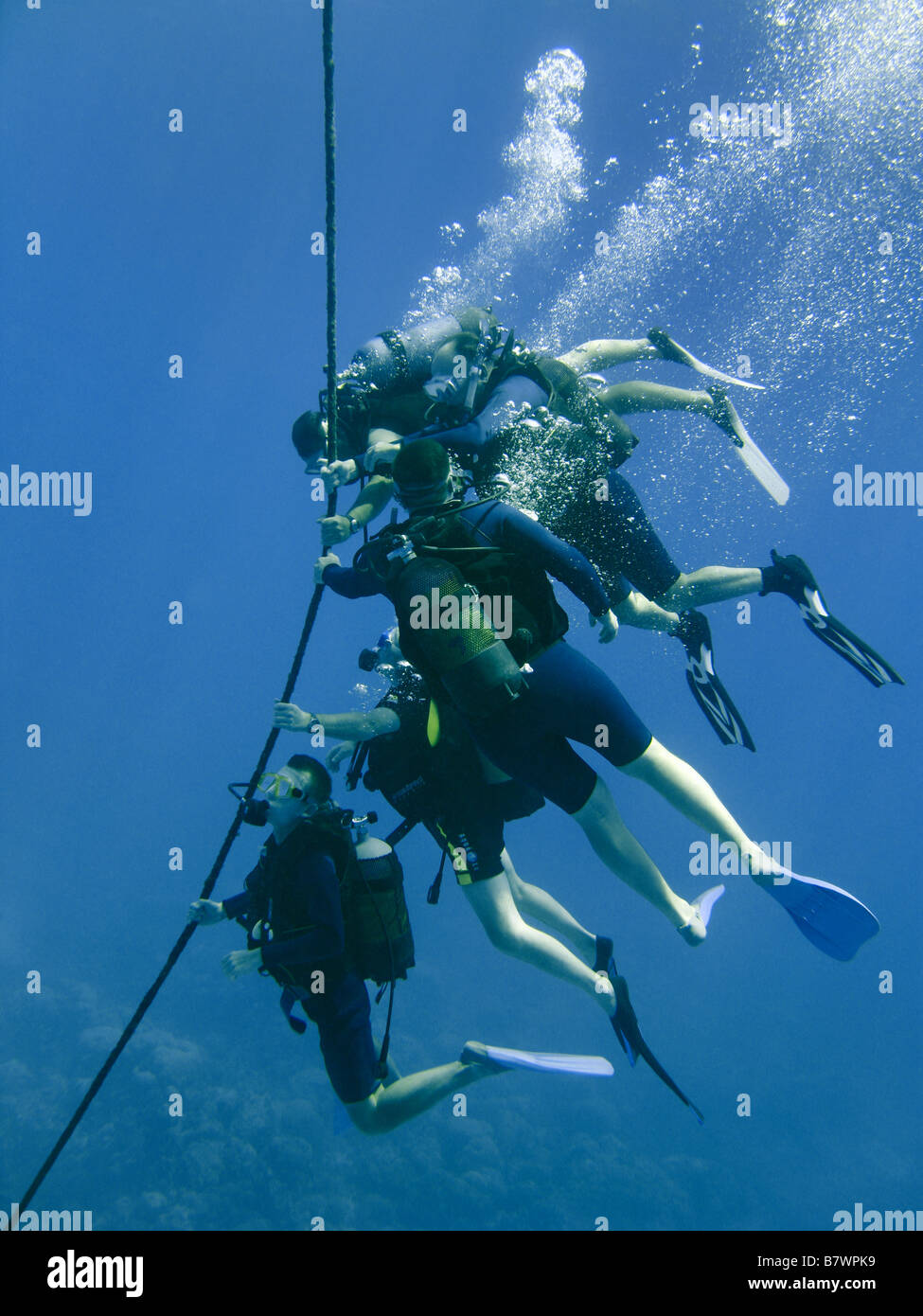 scuba divers at deco-stop Stock Photo - Alamy