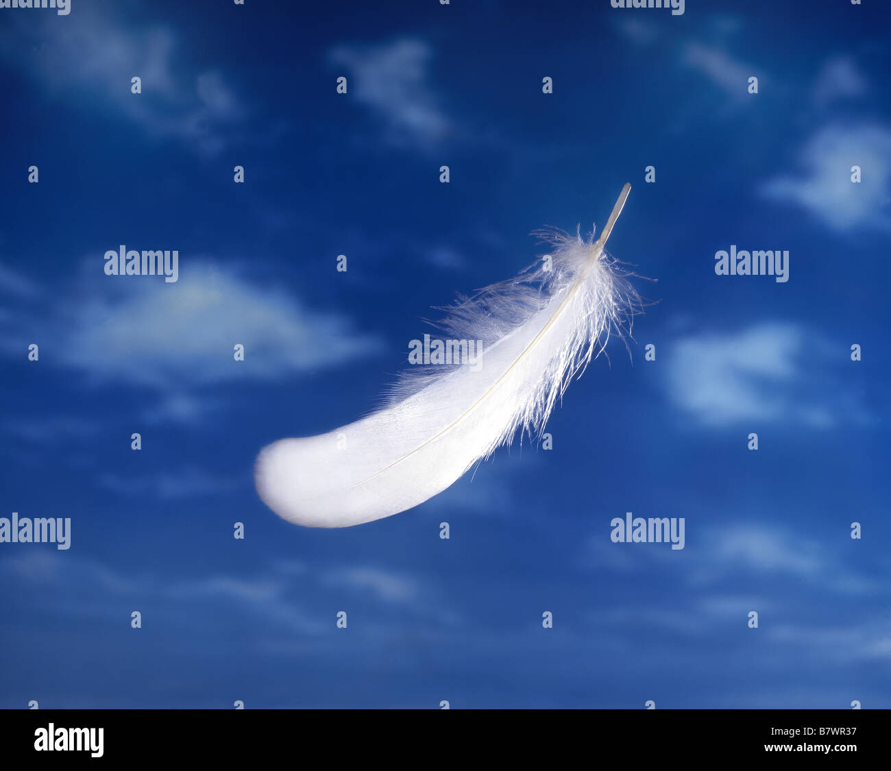 Feather floating against the sky Stock Photo - Alamy
