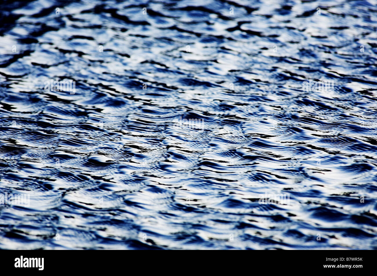 The action of light but constant wind across the ocean generates these ...