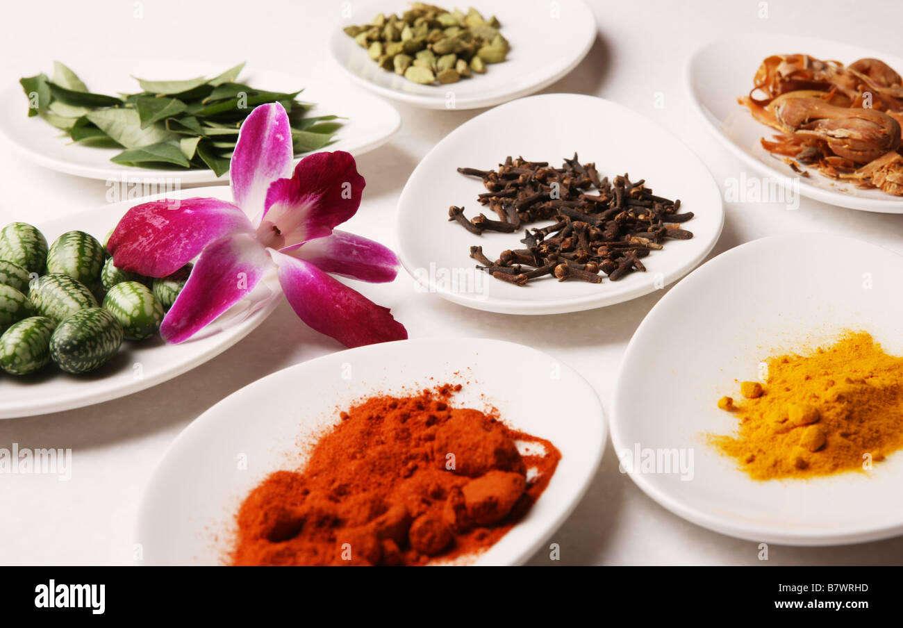 Indian menus hi-res stock photography and images - Alamy