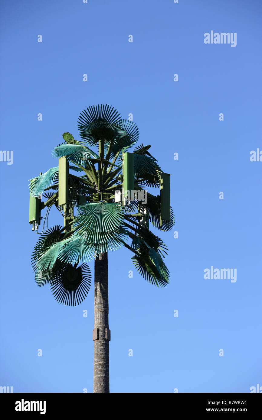 Cell phone tower tree hi-res stock photography and images - Alamy