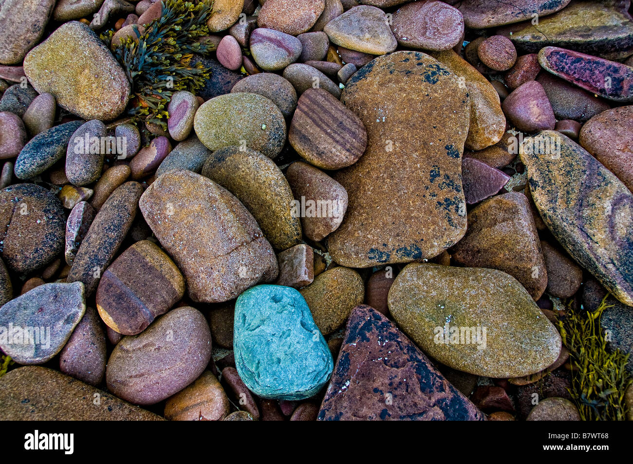 stones and brightly coloured pebbles on a Scottish beach Stock Photo ...