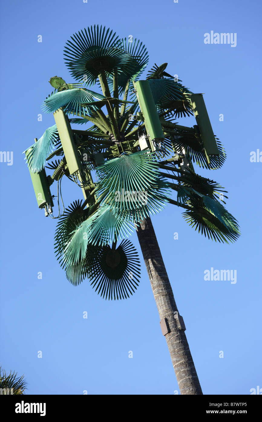 A modern communications tower made to look like a palm tree Stock Photo ...