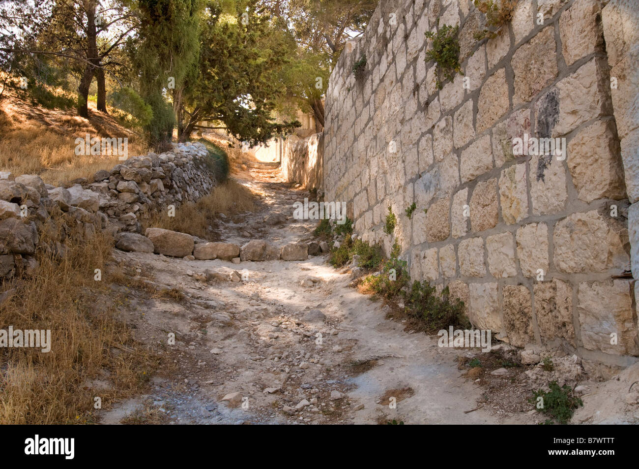Pathway, Mount of Olives, Jerusalem, Israel Stock Photo - Alamy