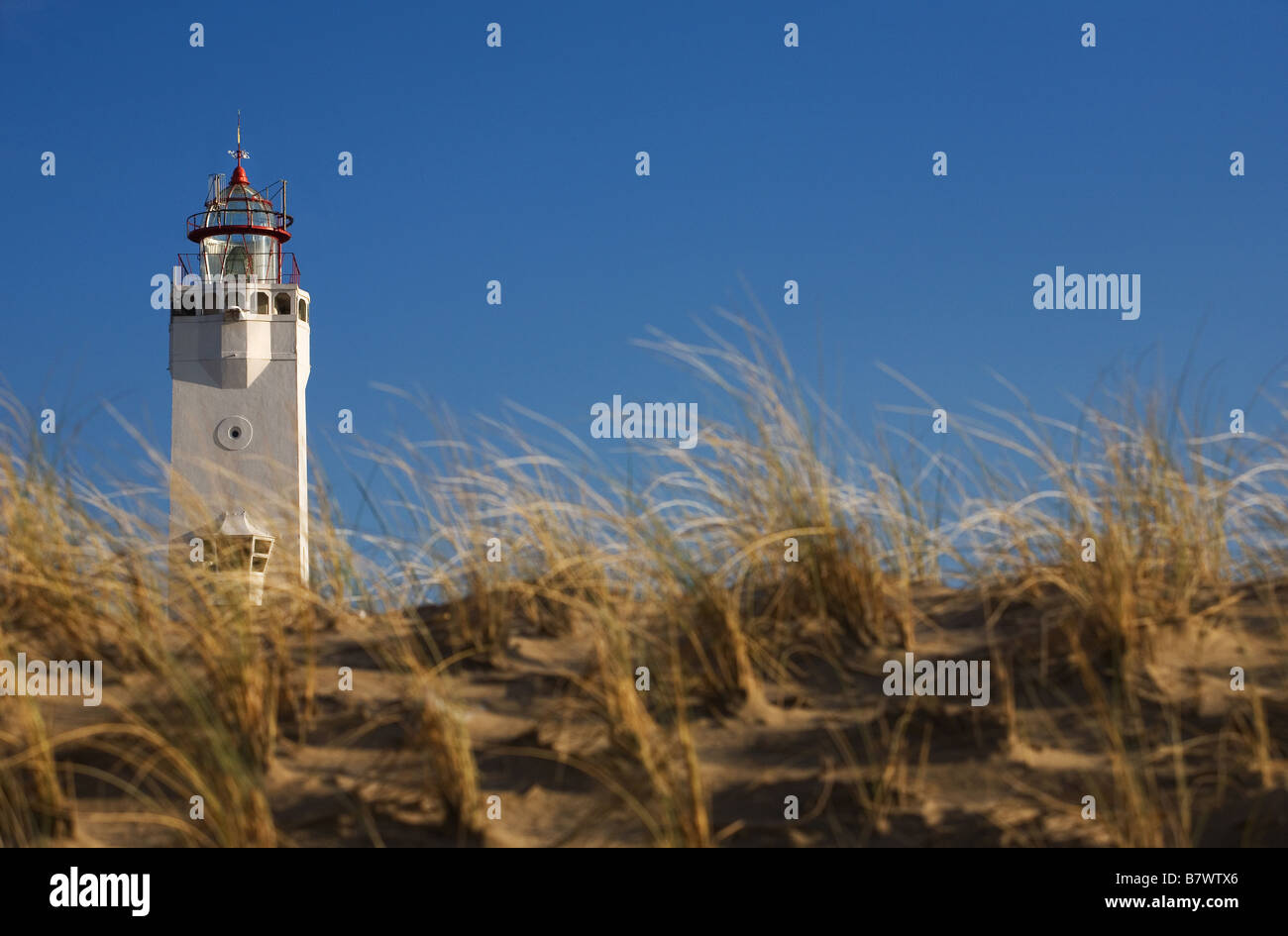 dutch lighthouse as seen from the beach Stock Photo - Alamy