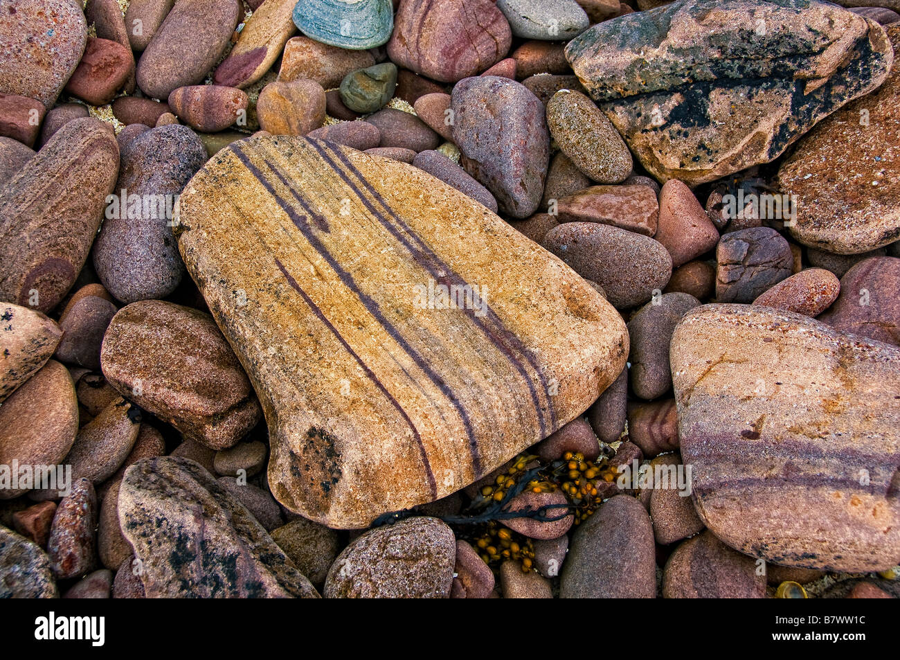 Stones and pebbles with interesting colours and markings, on a Scottish ...