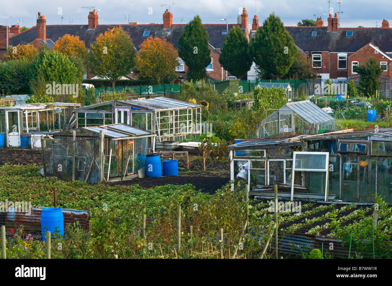 Allotment garden wales hi-res stock photography and images - Alamy