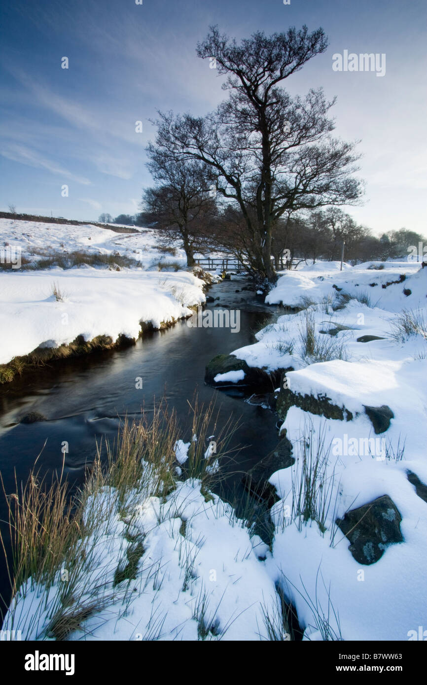 Longshaw hi-res stock photography and images - Alamy