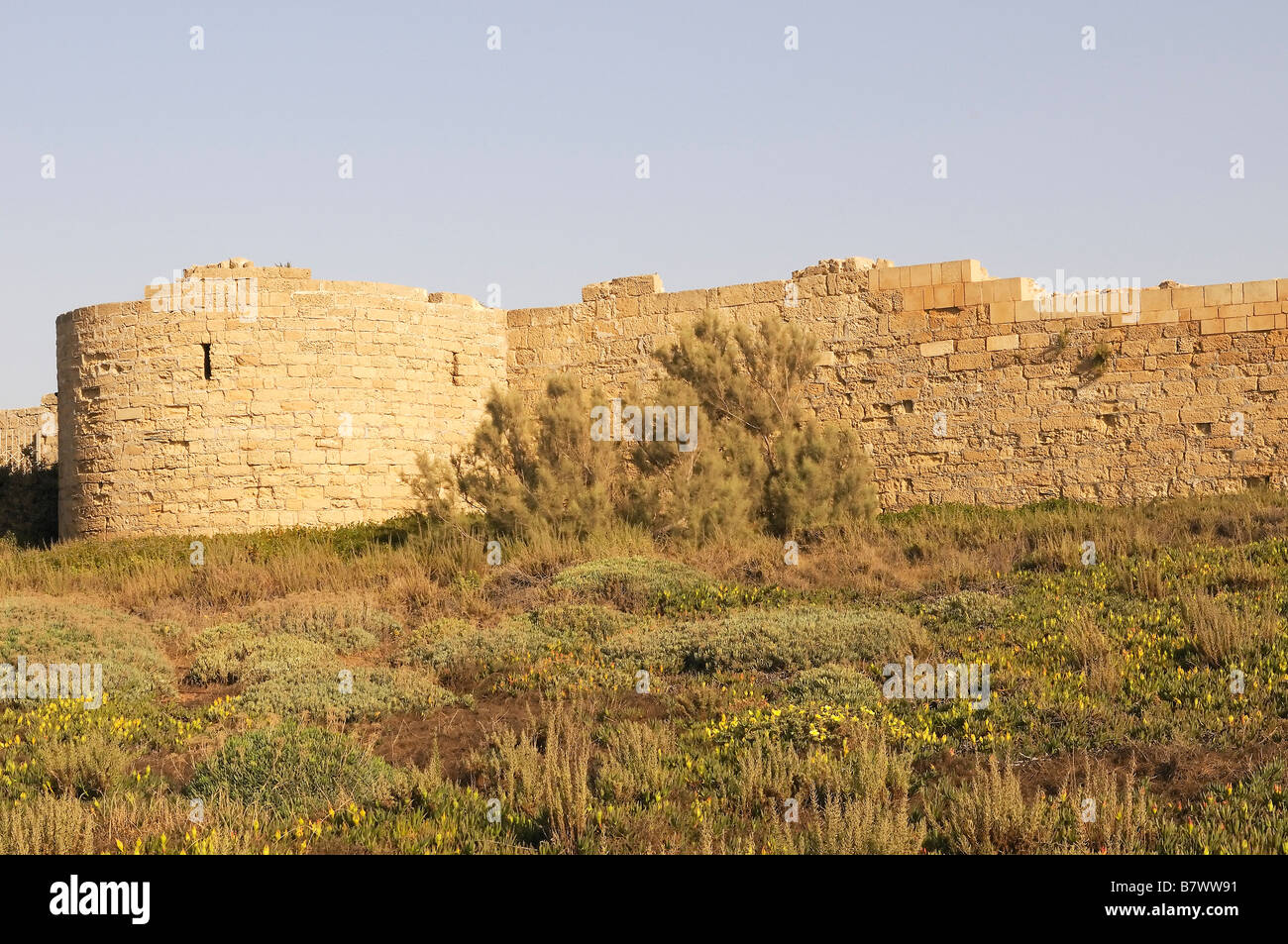 Ceasarea hi-res stock photography and images - Alamy