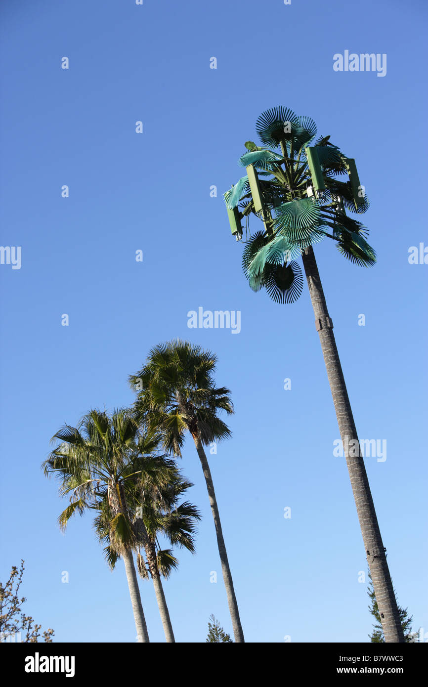 Cell phone tower tree hi-res stock photography and images - Alamy