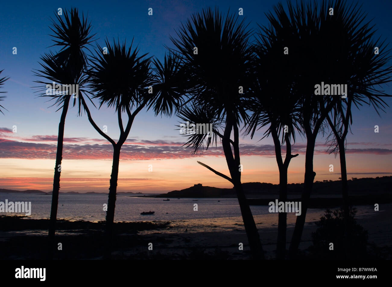 The Blockhouse, Old Grimsby viewed through the palm trees at Island ...