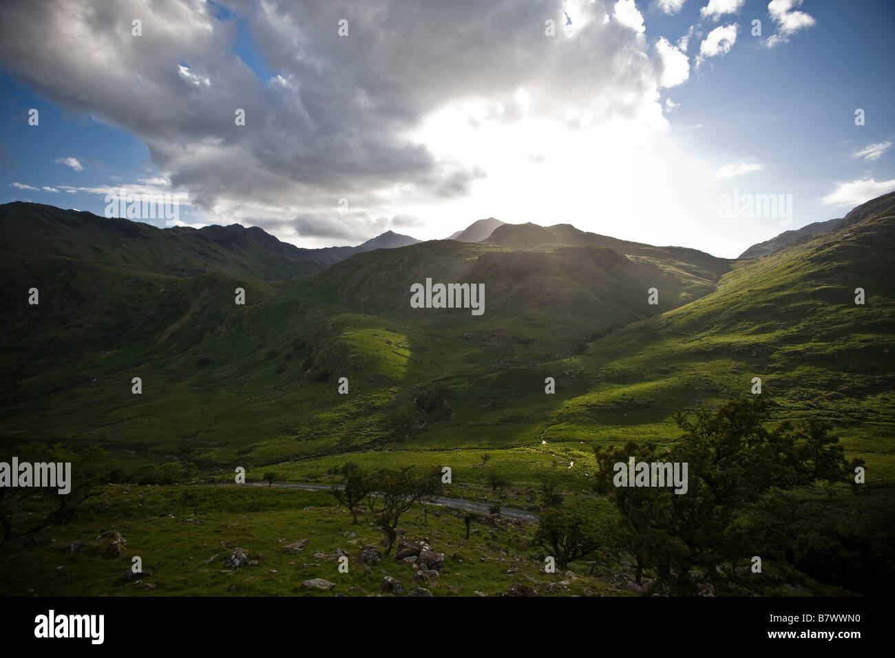 Green hills forests scenery view hi-res stock photography and images ...