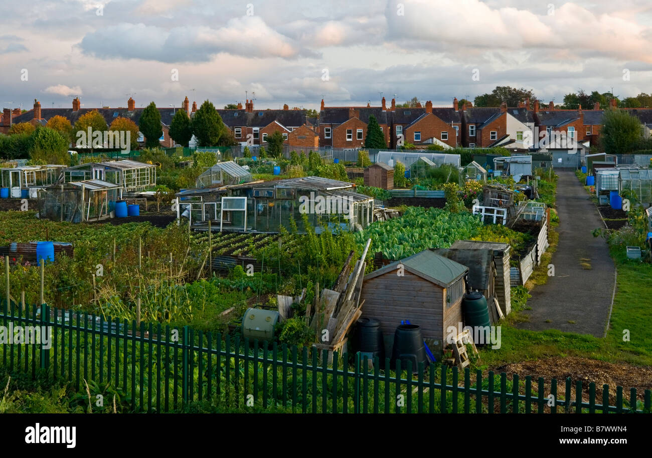 Allotment garden wales hi-res stock photography and images - Alamy