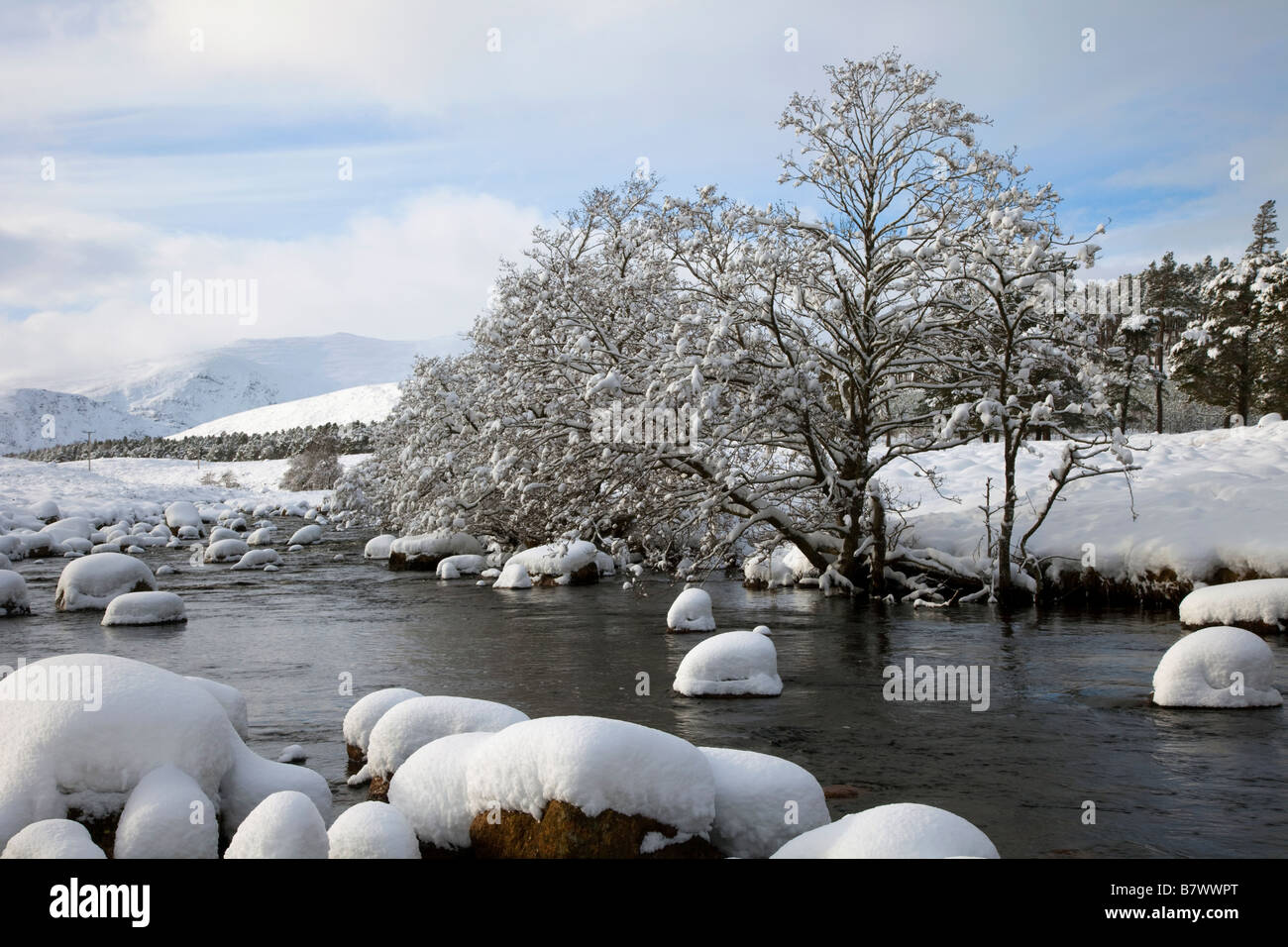 Highland moor black forest hi-res stock photography and images - Alamy