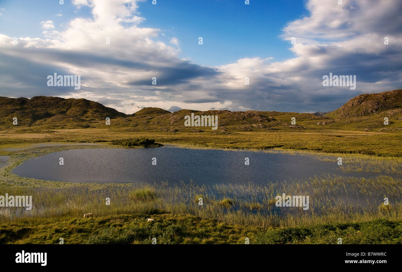 Ardnamurchan hills hi-res stock photography and images - Alamy